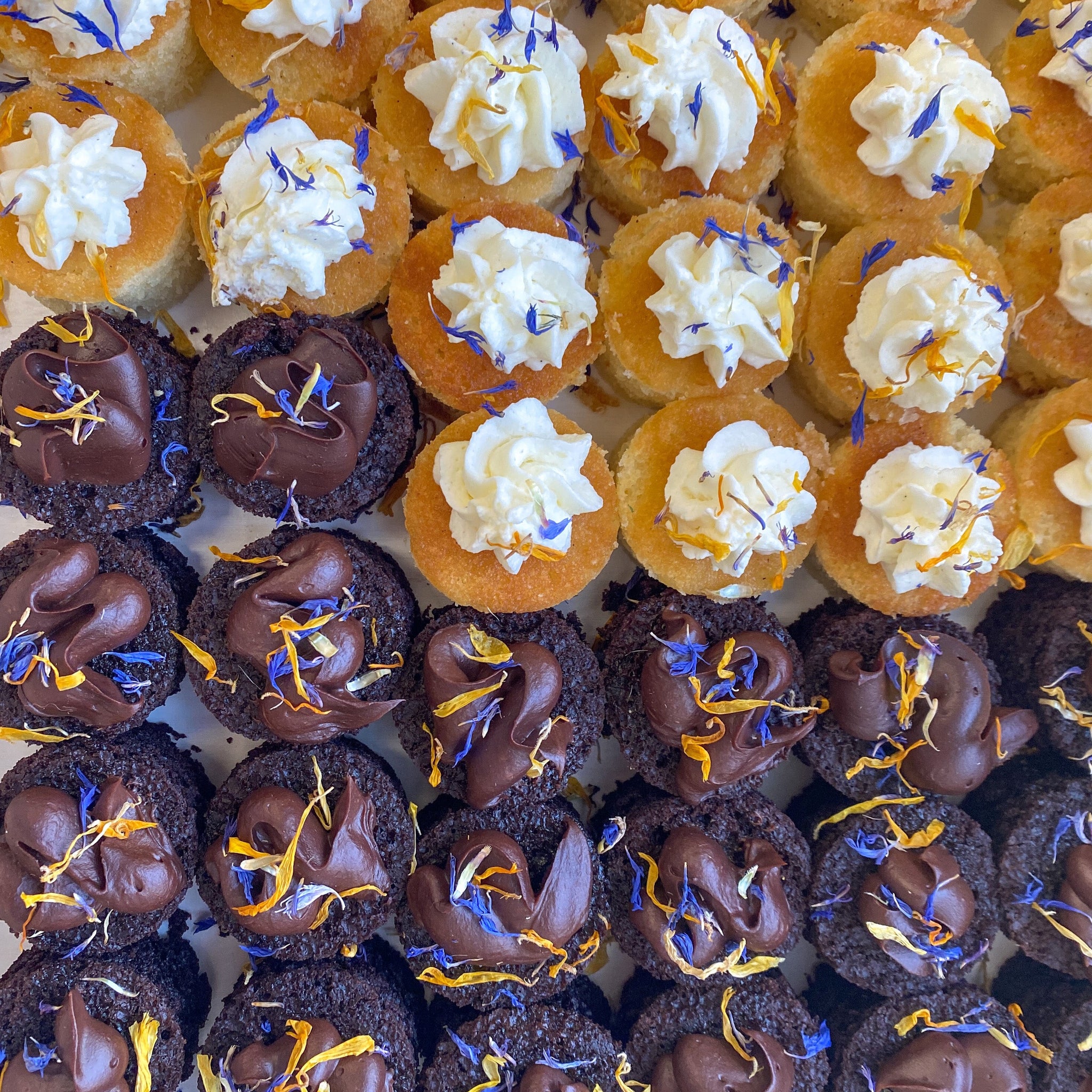 UVA Bloomers Party Box – Cake Bloom